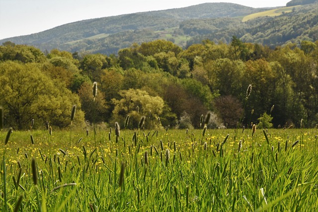 Luft Natur Outdoor - Kostenloses Foto auf Pixabay - Pixabay