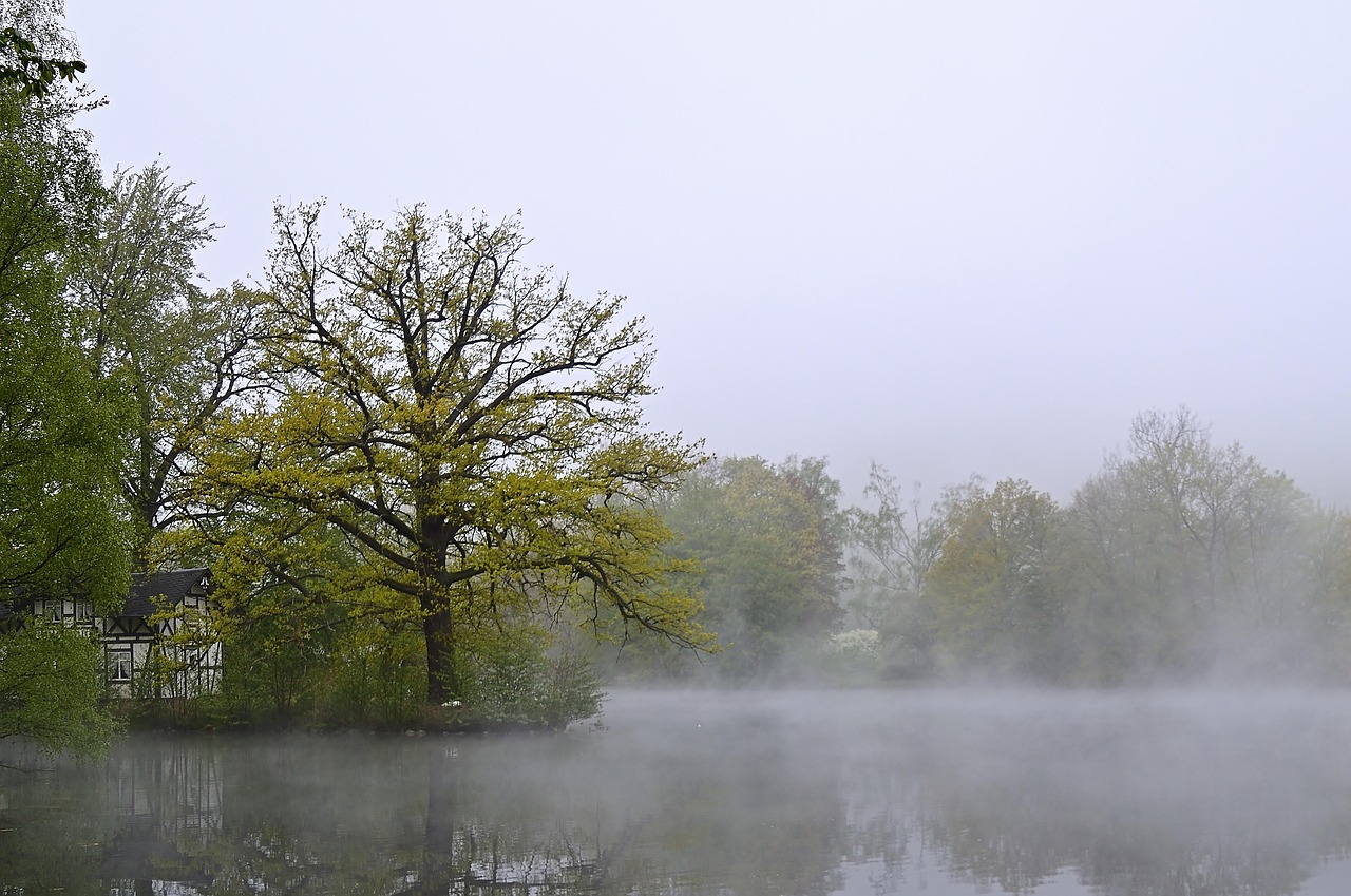 Nature Park Lake Tomorrow - Free photo on Pixabay