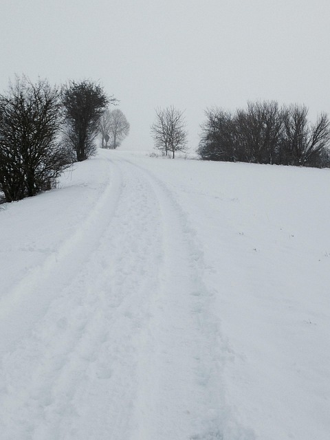 Neige Paysage Hiver En Plein - Photo gratuite sur Pixabay - Pixabay