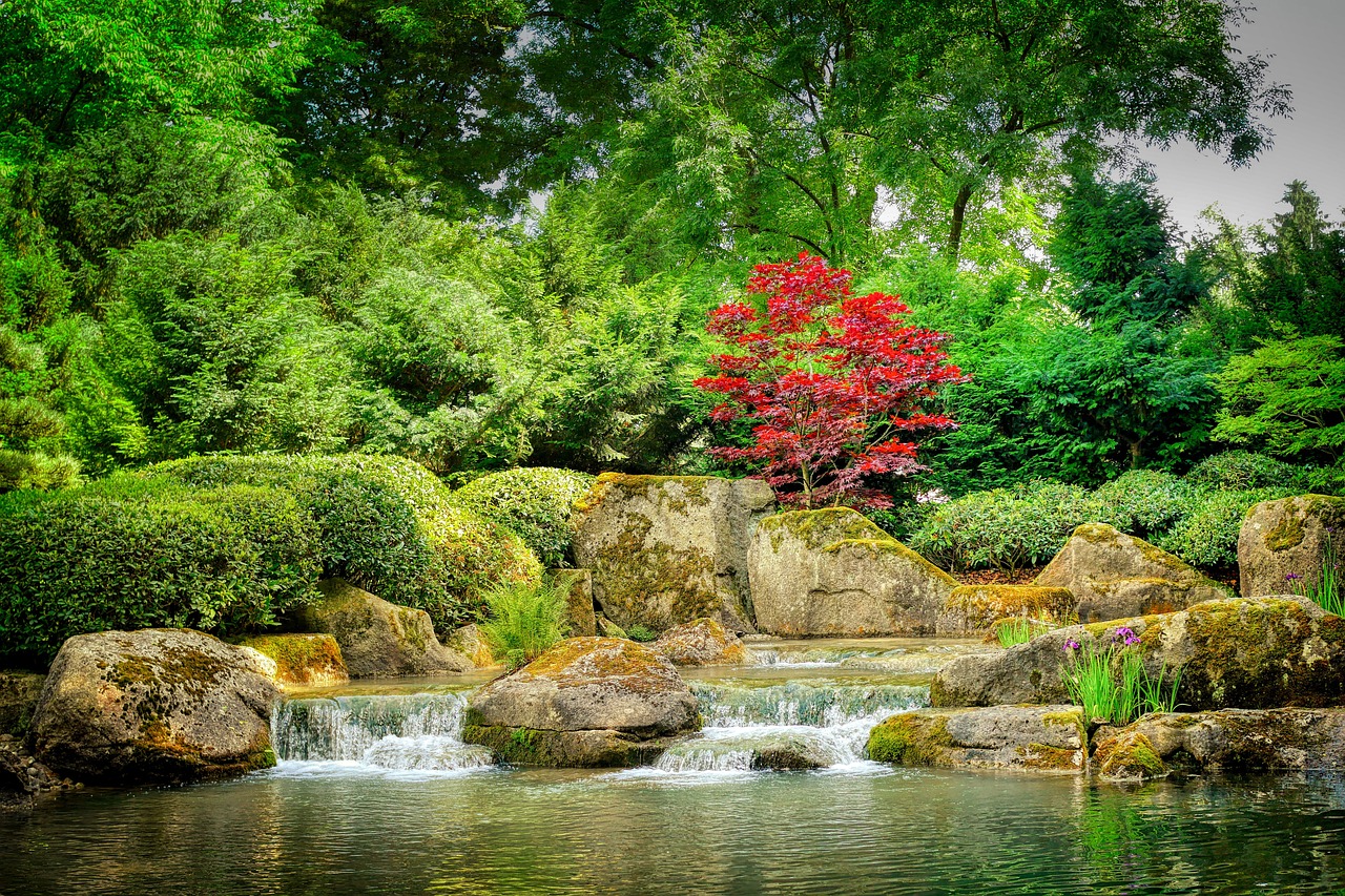 10,000+ Free Bushes & Nature Photos - Pixabay