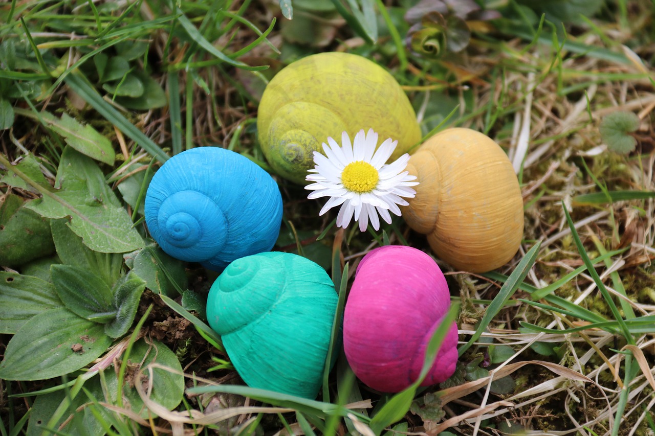 Colored Snails Flower Snail - Free photo on Pixabay - Pixabay
