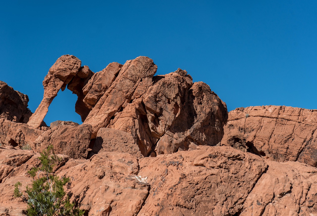 Valley Of Fire Elephant Formation - Free photo on Pixabay