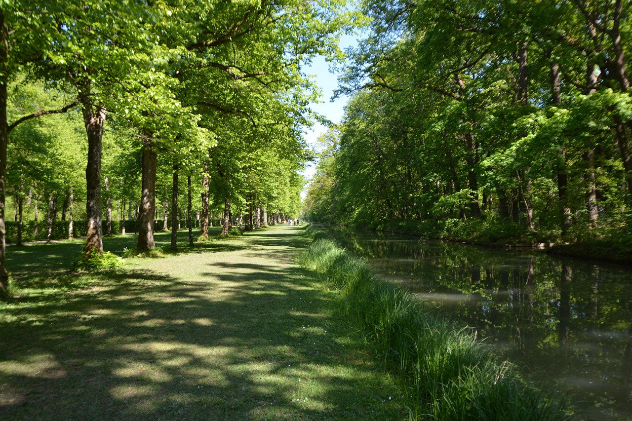 La Nature Paysage L'Été - Photo gratuite sur Pixabay - Pixabay
