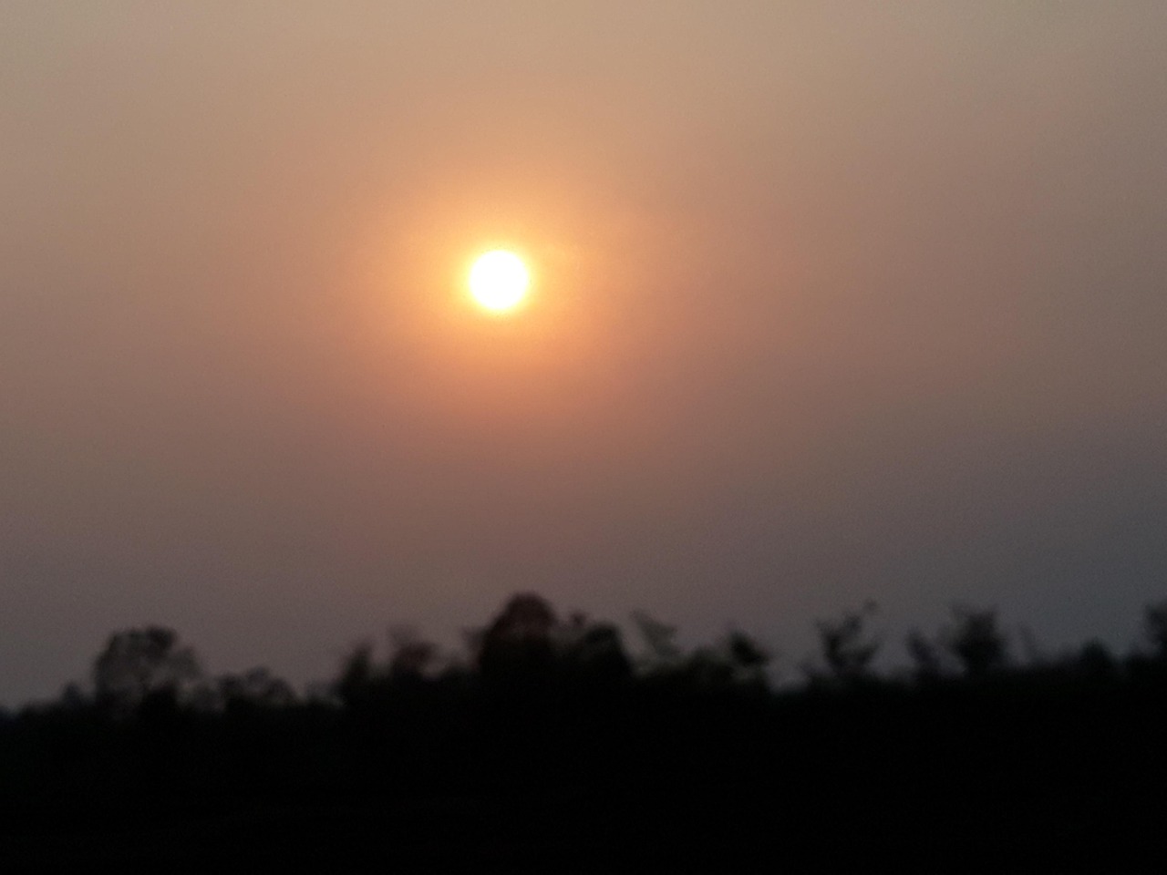 太阳在中间的一天 Sumrise - Pixabay上的免费照片