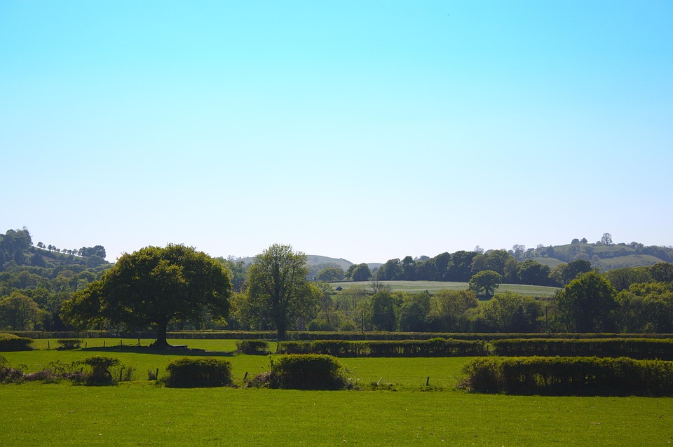 Landscape Fields Welsh - Free photo on Pixabay
