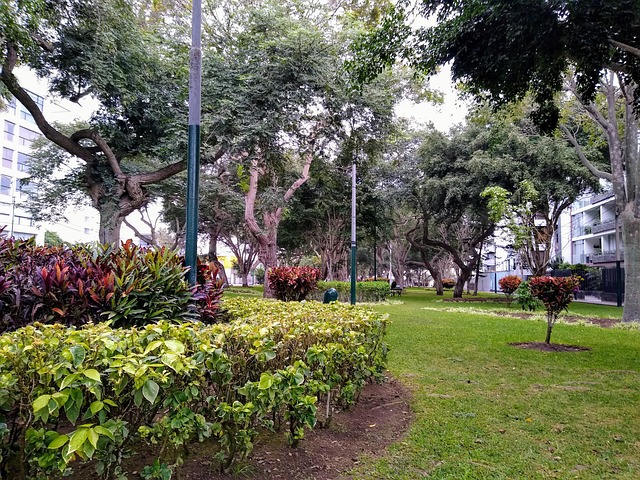 Parque Arboles - Free photo on Pixabay - Pixabay