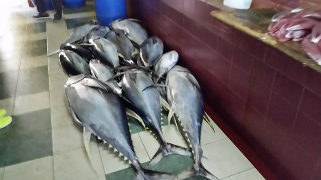 Fish Market - Free photo on Pixabay - Pixabay