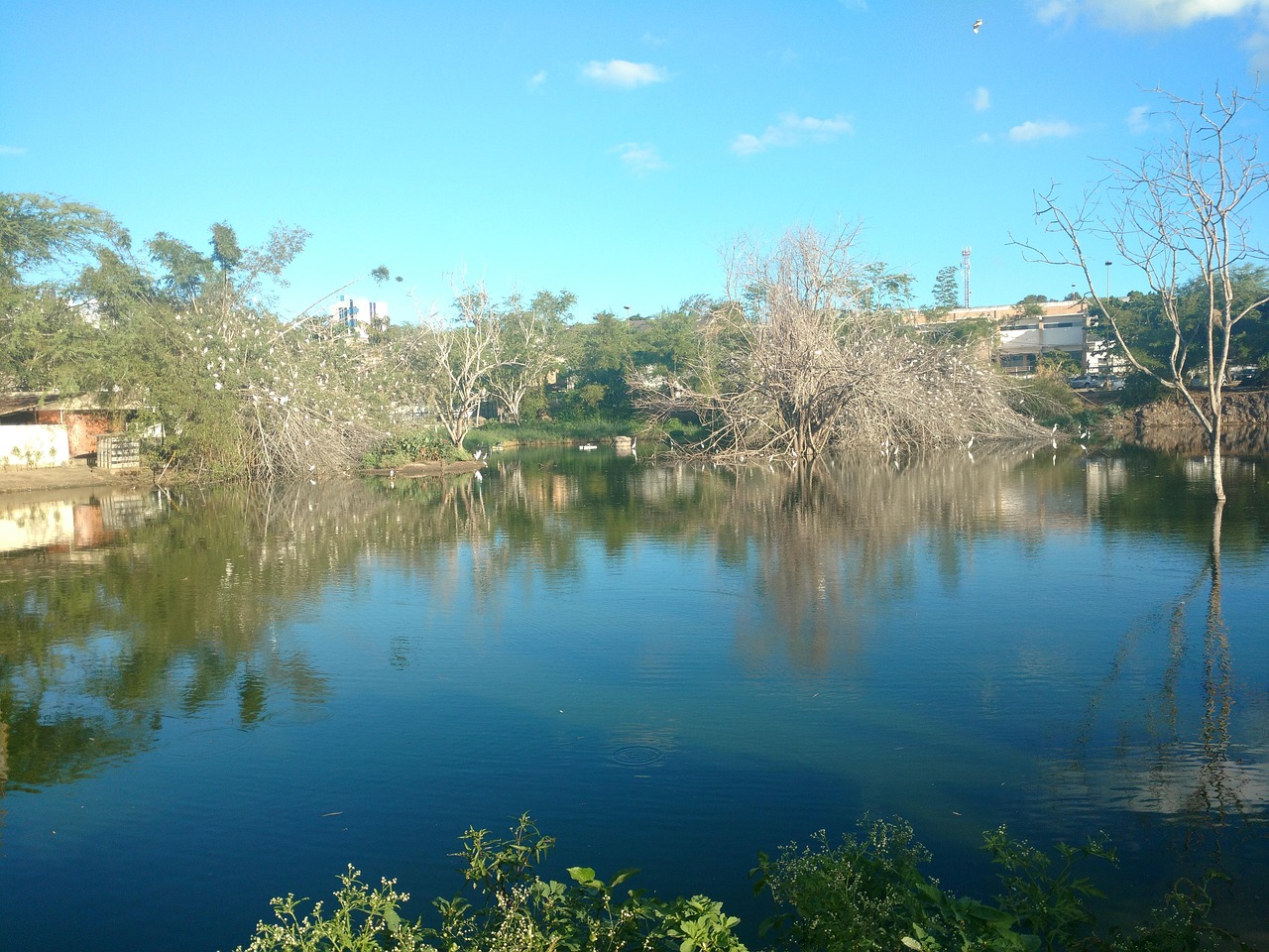 Pato Kaupunki Campina Grande - Ilmainen valokuva Pixabayssa - Pixabay