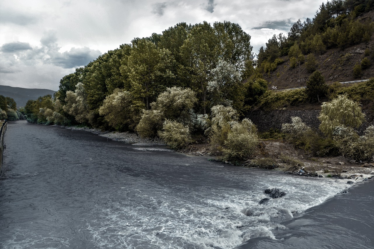 River Trees Tree - Free photo on Pixabay