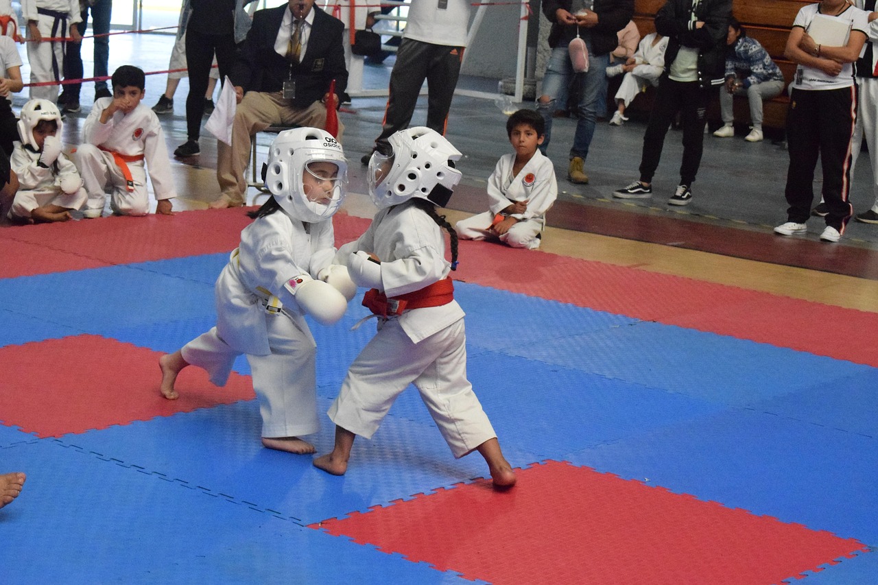 Crianças Kumite Karate Kids - Foto gratuita no Pixabay - Pixabay