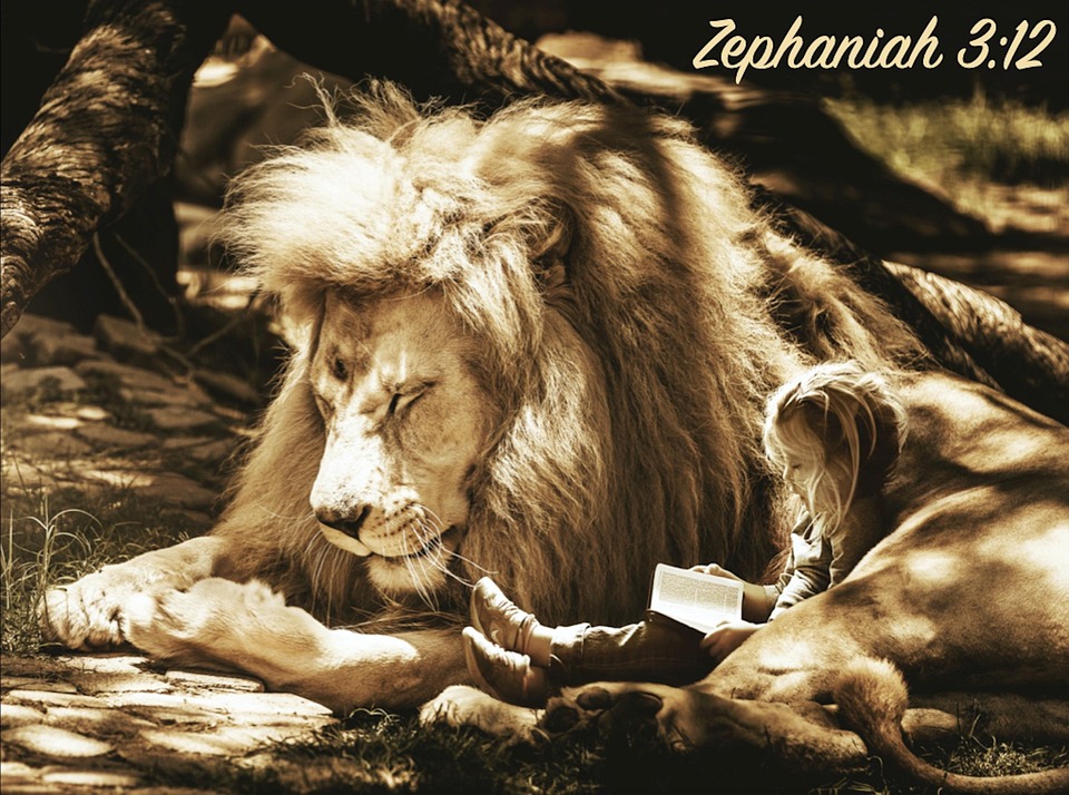 Lion Bible Jesus - Free photo on Pixabay - Pixabay