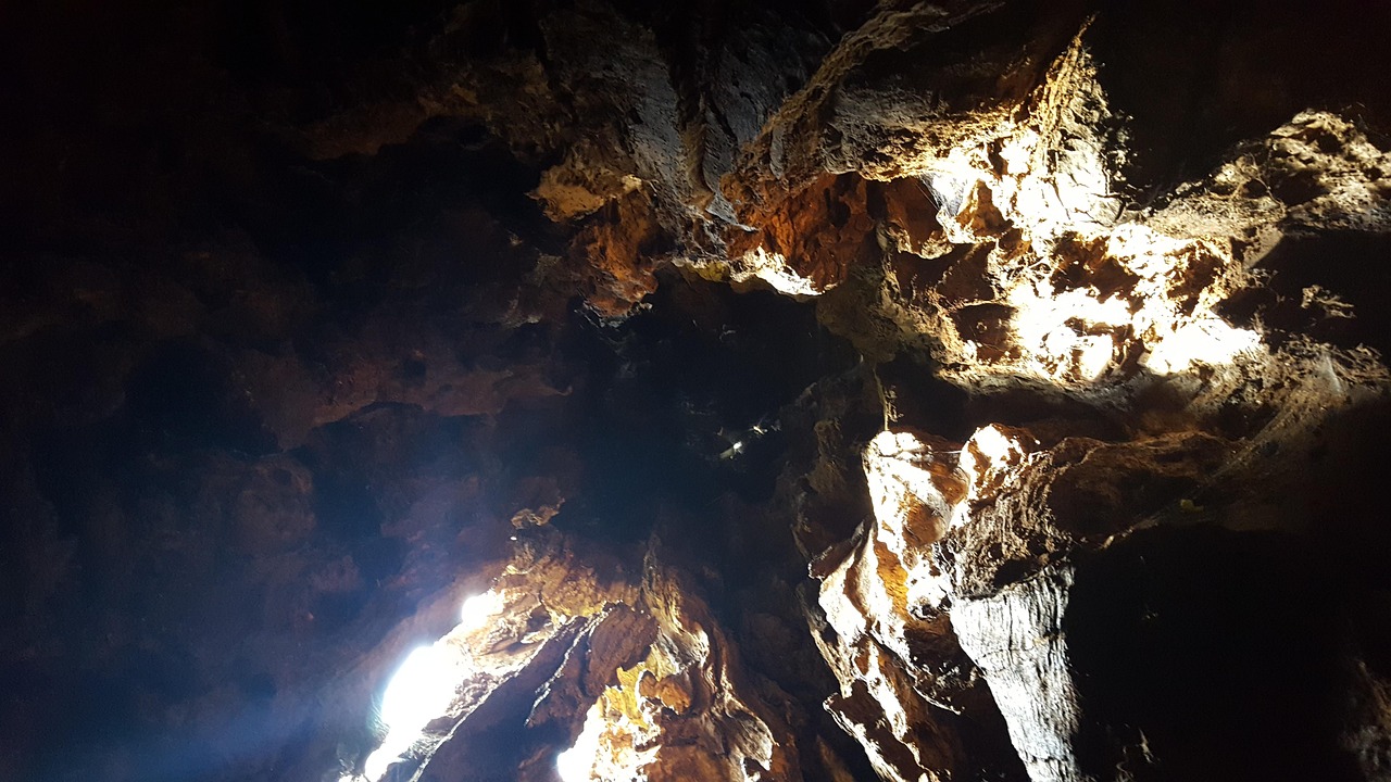 Poros Berongga Trunk - Foto gratis di Pixabay - Pixabay