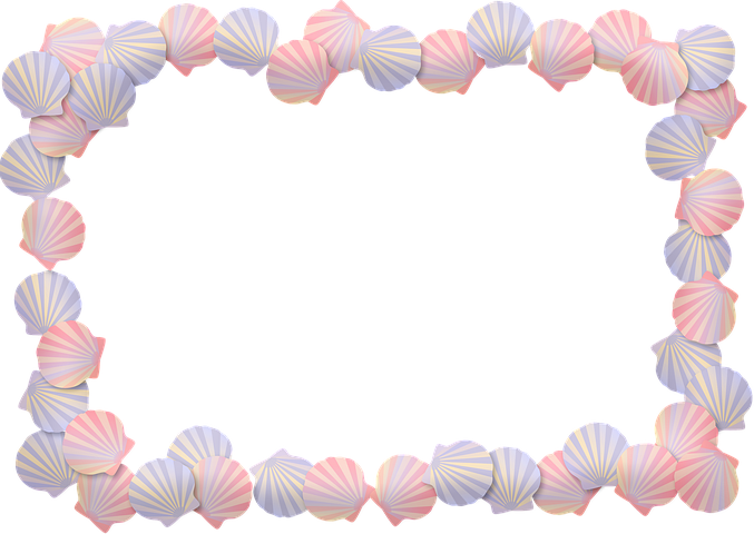 2,000+ Free Sea Shells & Shell Images