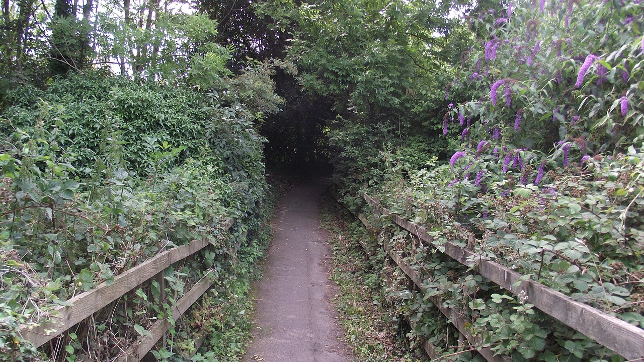 Weg Pfad Gasse - Kostenloses Foto auf Pixabay - Pixabay