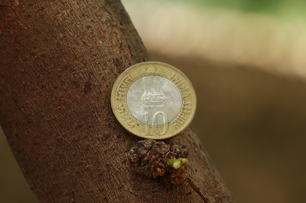 Coin Design Texture - Free photo on Pixabay - Pixabay