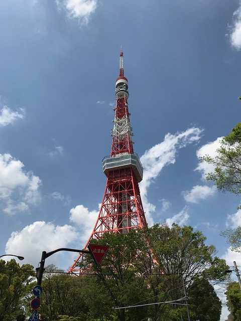 Tokyo Tower Woods Blue Sky - Free photo on Pixabay - Pixabay