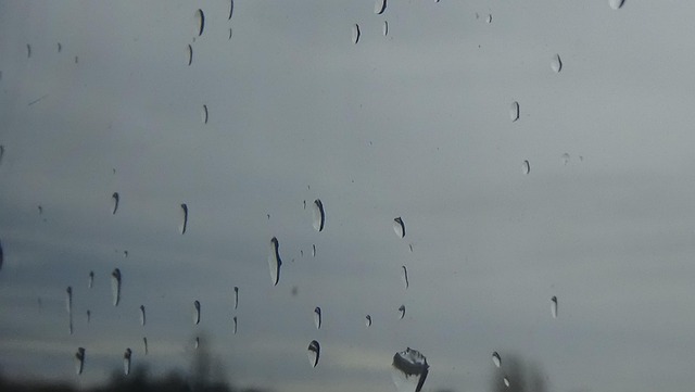Rain Water Glass Free Photo On Pixabay Pixabay