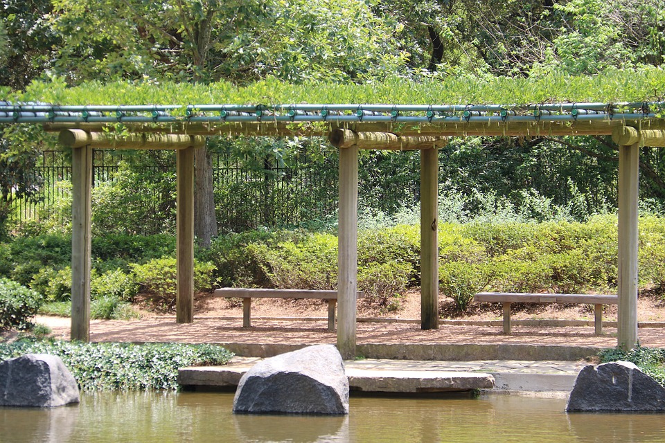 Japanese Park Nature - Free photo on Pixabay - Pixabay