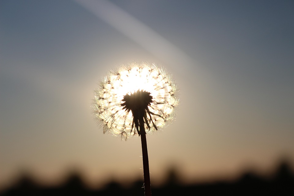 Creatividad Atardecer - Foto gratis en Pixabay - Pixabay