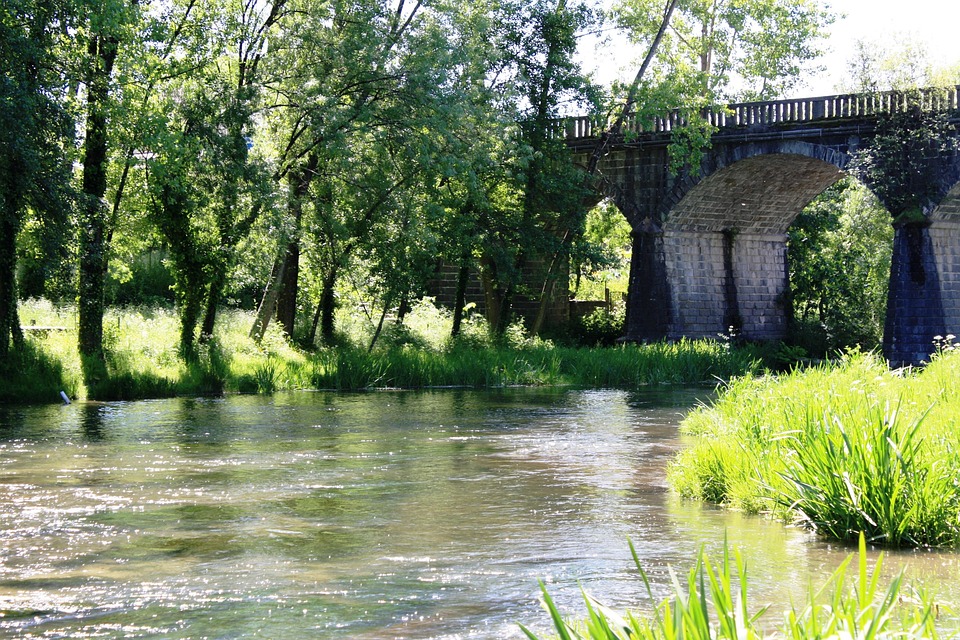 Rio Ponte Natureza - Foto gratuita no Pixabay - Pixabay