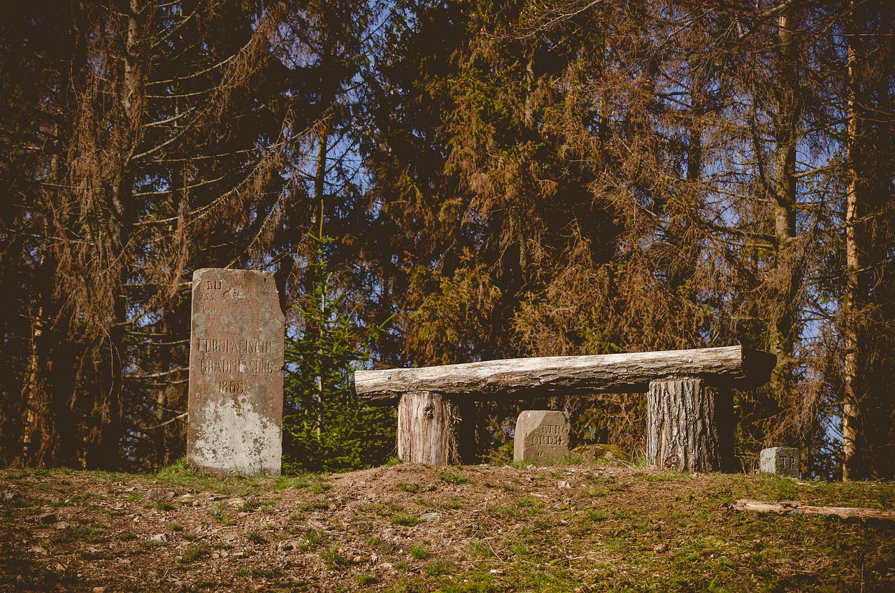 Nature Hike Trail - Free photo on Pixabay - Pixabay