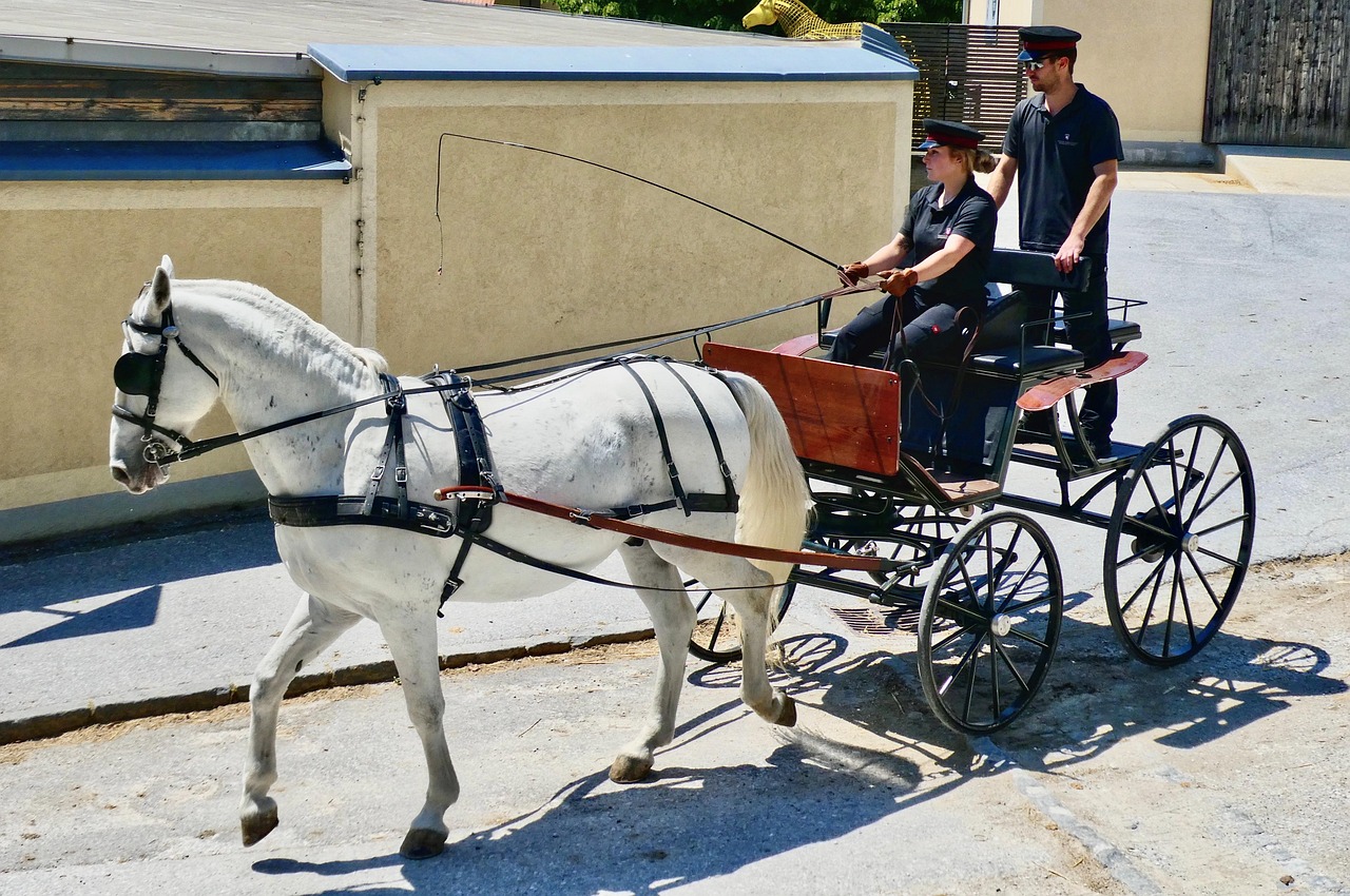 Carrello Cavallo Carrozza - Foto gratis su Pixabay - Pixabay