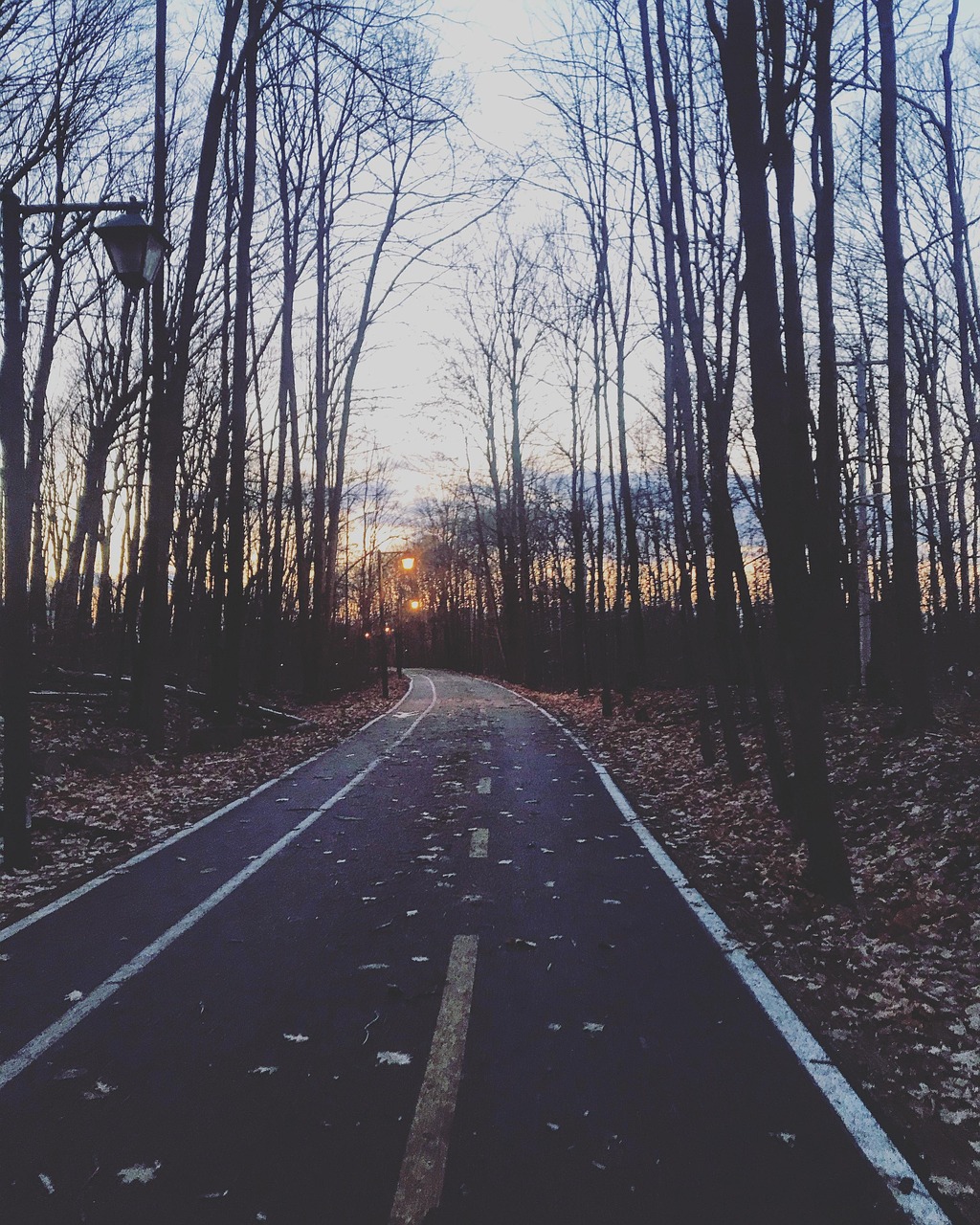 Piste Cyclable Des Arbres - Photo gratuite sur Pixabay - Pixabay