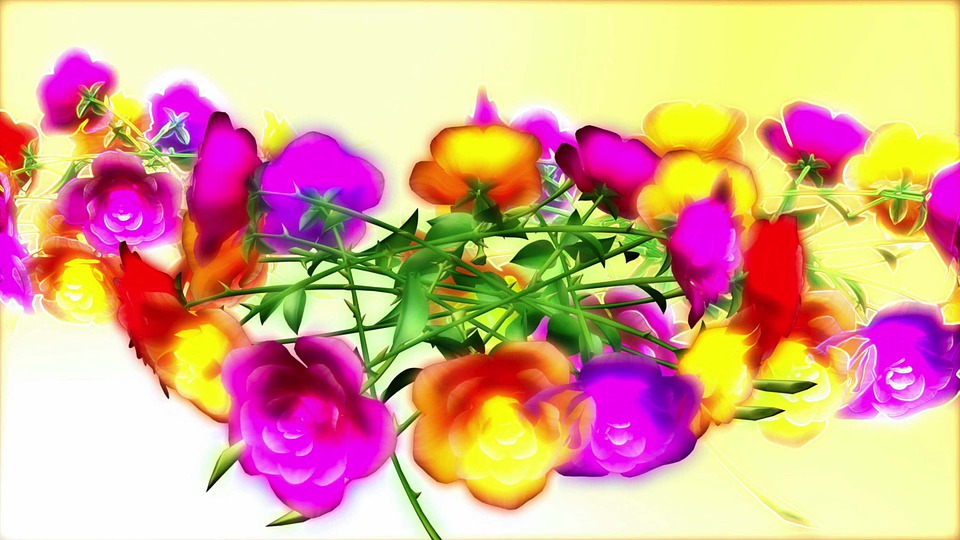 Liebe Blumen Pflanze - Kostenloses Bild auf Pixabay