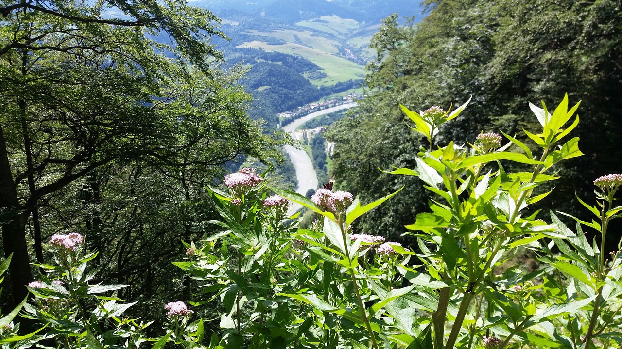Dunajec Pieniny Góry - Foto gratis en Pixabay - Pixabay