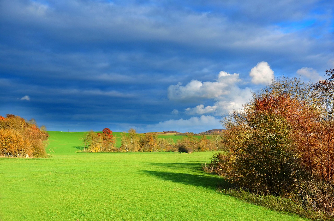Countryside Pasture Agriculture - Free photo on Pixabay - Pixabay