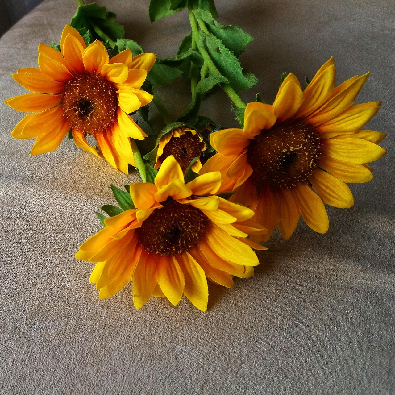 Flower Sunflower Imitation - Free photo on Pixabay - Pixabay