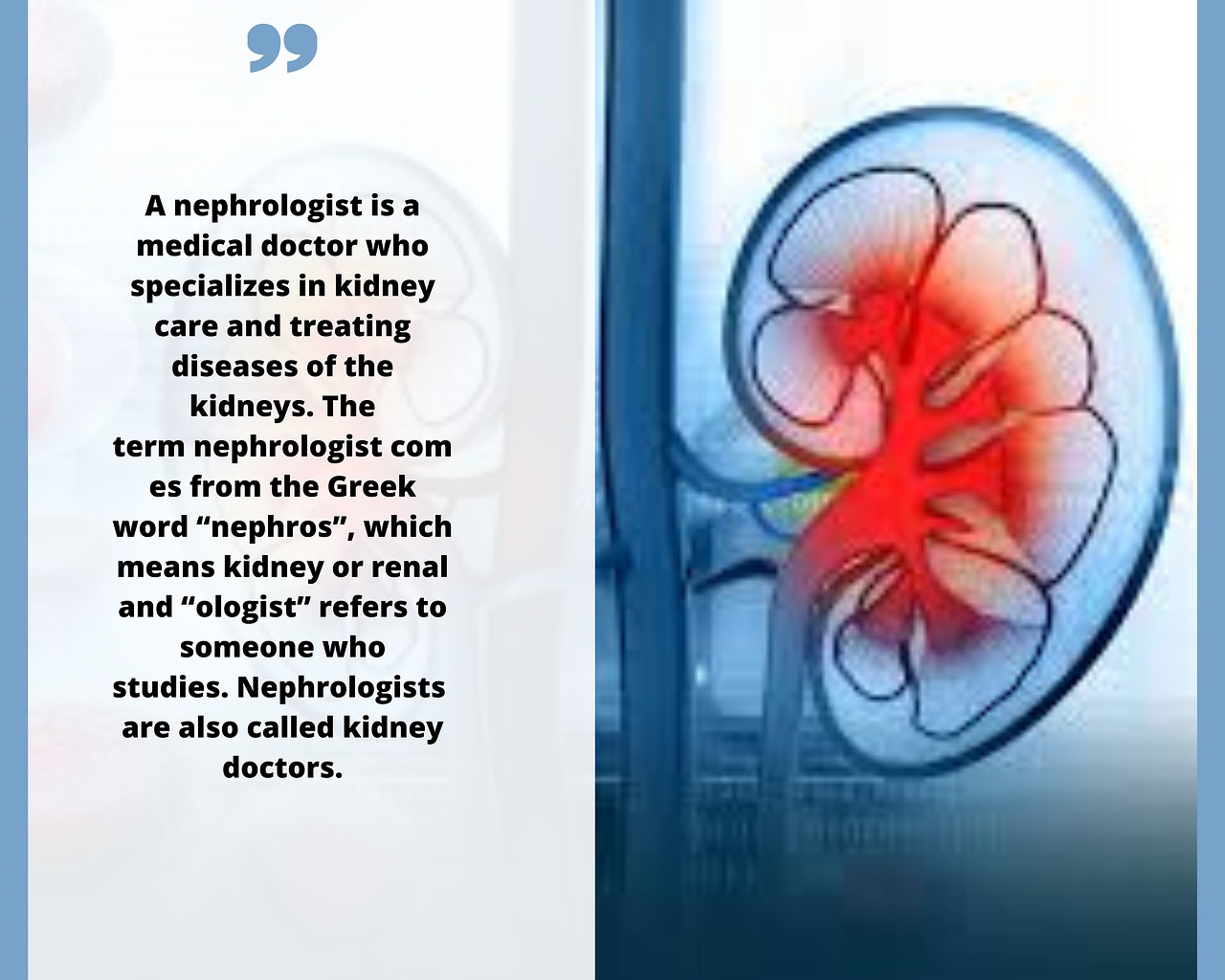 Nephrology การเรียนรู้ทางการแพทย์ - ภาพฟรีบน Pixabay