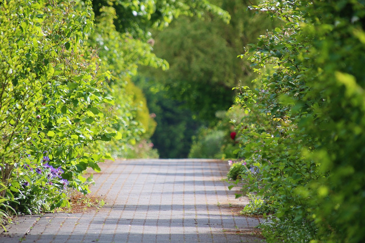 Sendero Parque Naturaleza - Foto gratis en Pixabay - Pixabay