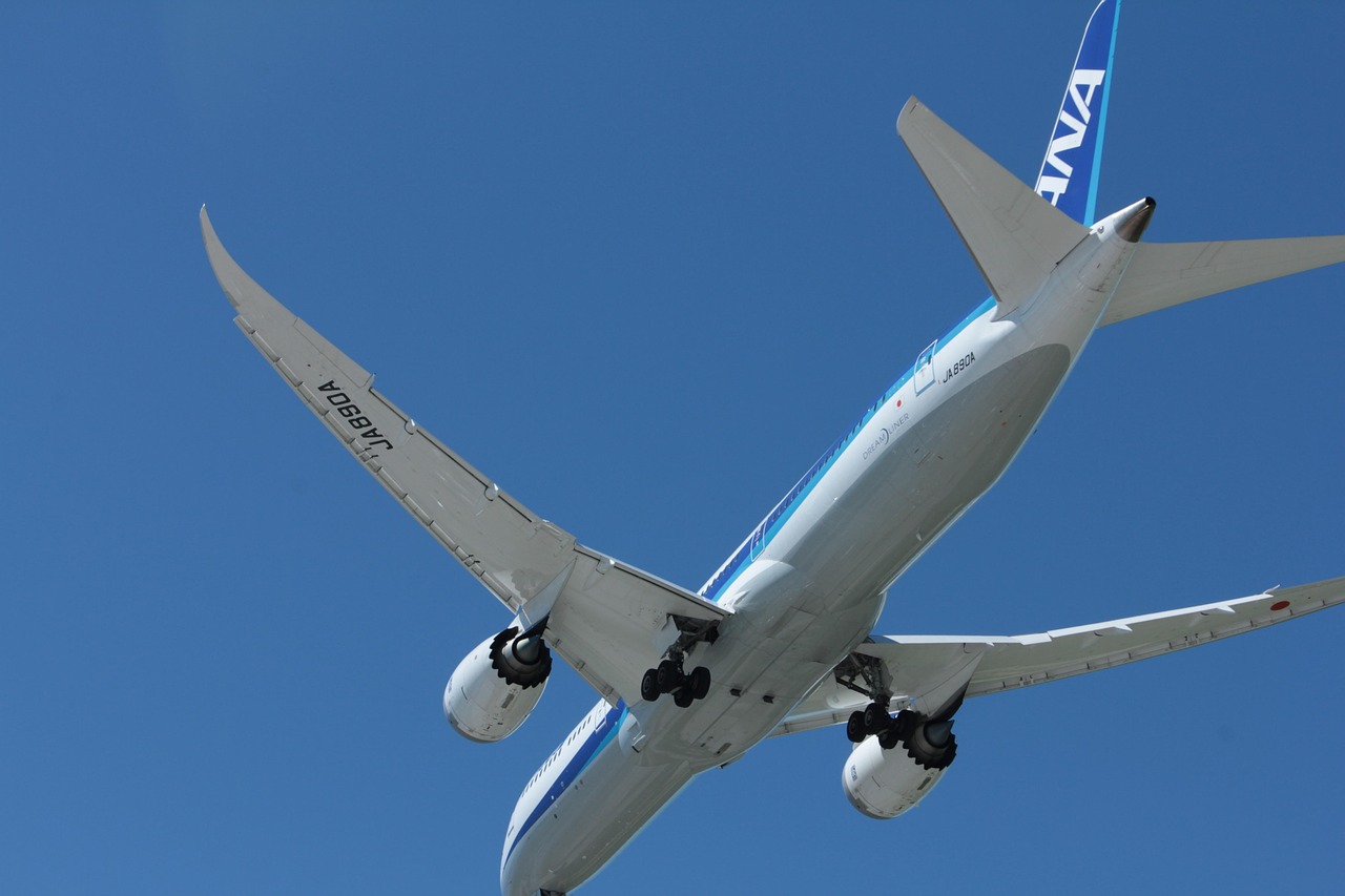 Ana Airplane - Free photo on Pixabay - Pixabay