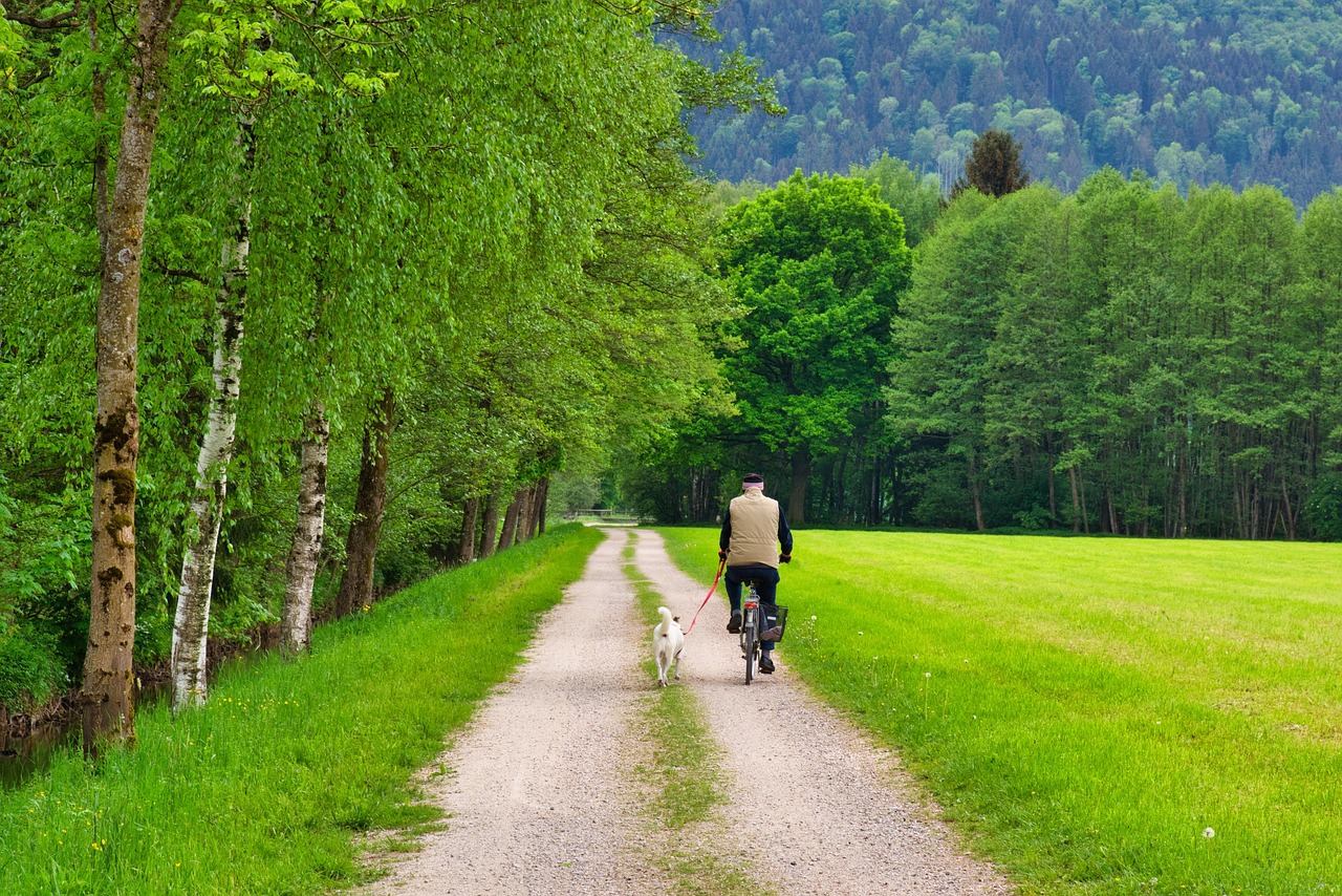 Cyclist Path To Go Biking - Free photo on Pixabay - Pixabay