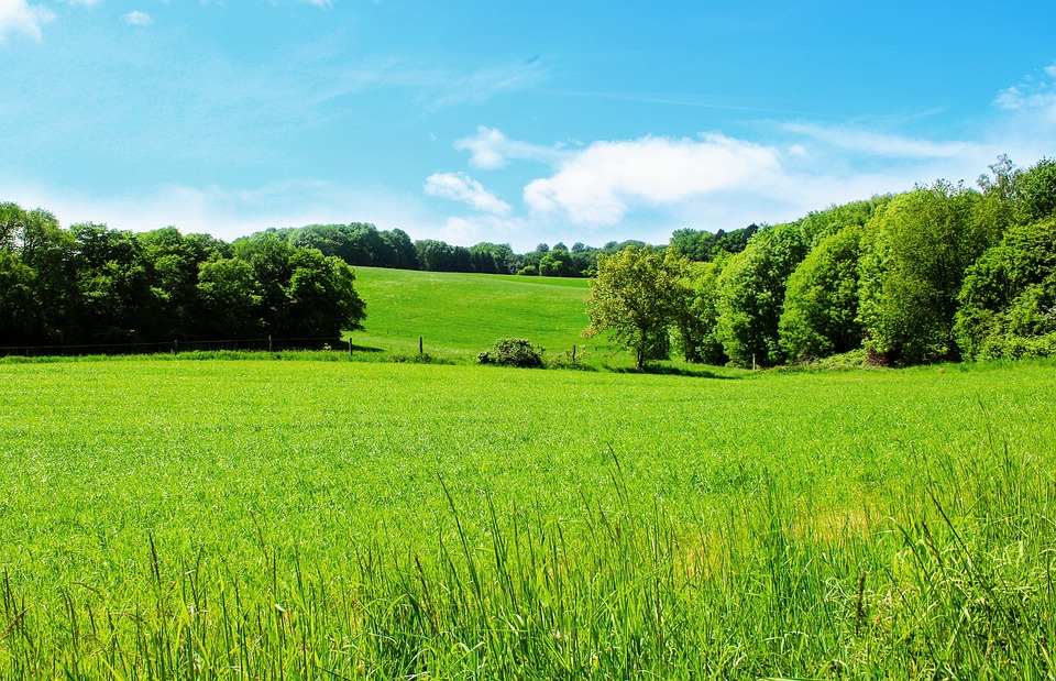 Nature Paysage Field - Photo gratuite sur Pixabay