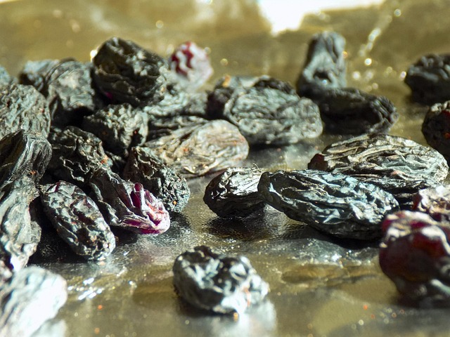 Raisin Food Nutrition - Free photo on Pixabay - Pixabay