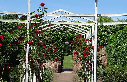 40+ Free Rose Trellis & Trellis Images - Pixabay