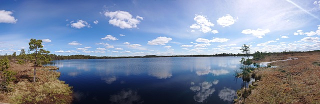 Bog Lake - Free photo on Pixabay - Pixabay