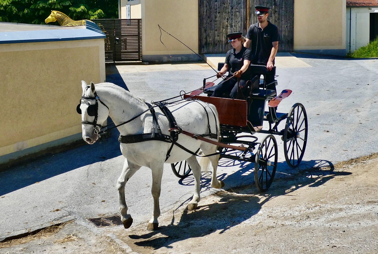 Cart Traditional Carriage - Free photo on Pixabay - Pixabay
