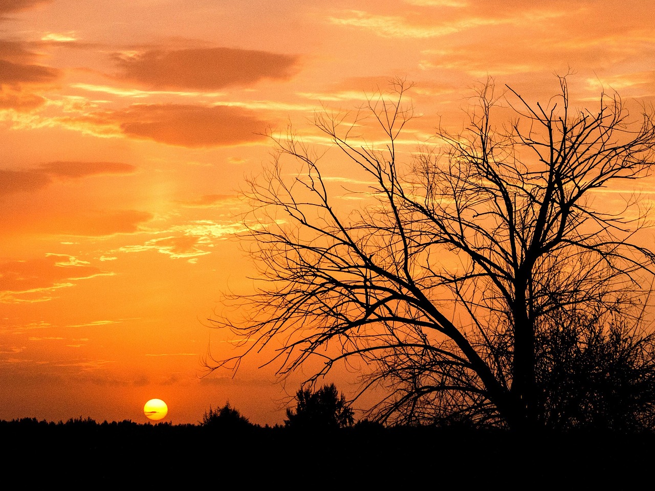 Sunset Twilight Dead - Free photo on Pixabay - Pixabay