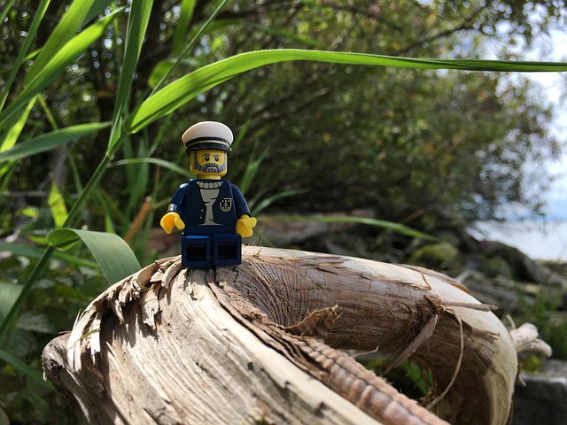 Lego Nature - Photo gratuite sur Pixabay - Pixabay