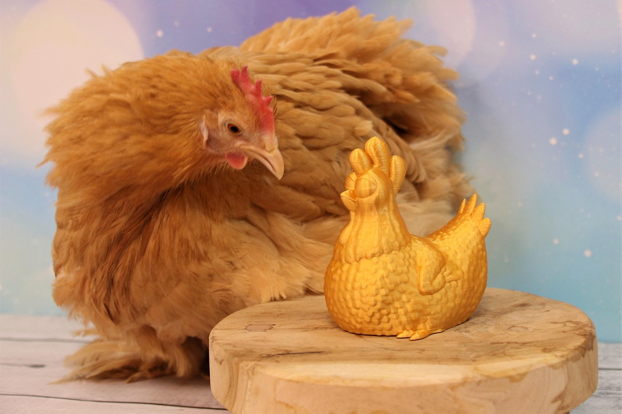 Pollo Pájaro Animal Pascua De - Foto gratis en Pixabay - Pixabay