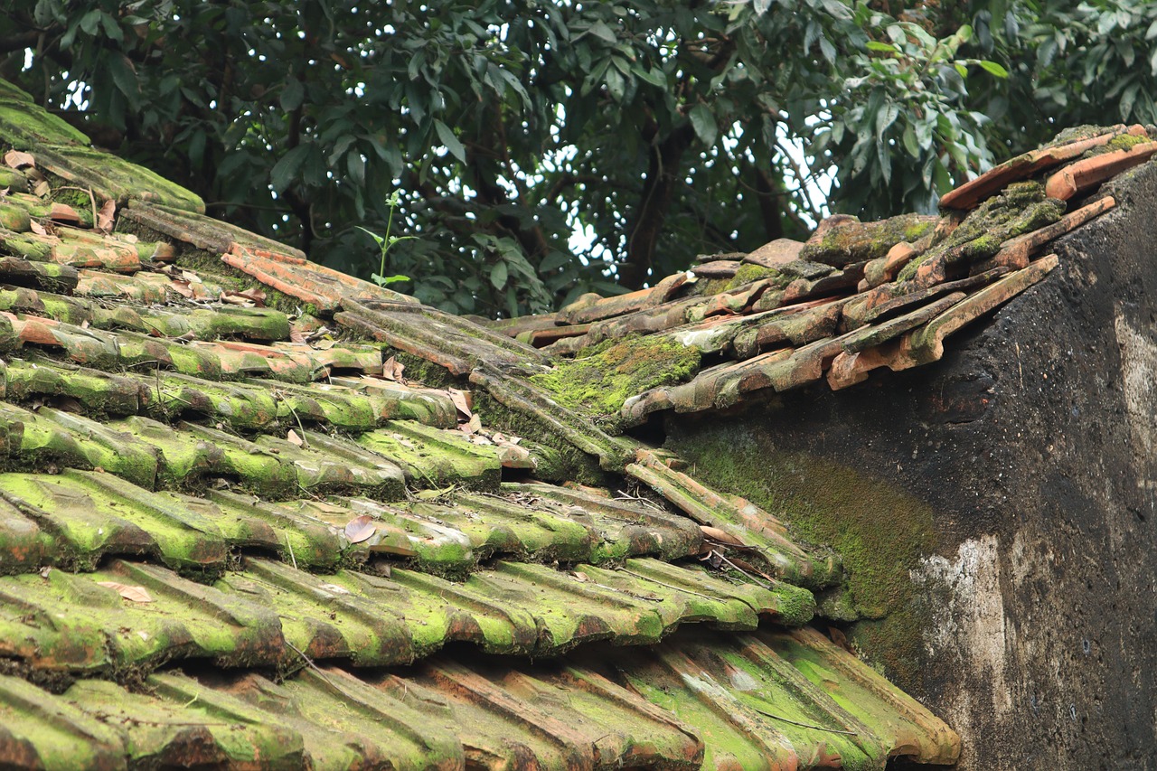Roof Tile Tree - Free photo on Pixabay - Pixabay