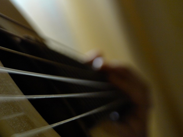 Guitare Musique Chanson - Photo gratuite sur Pixabay - Pixabay