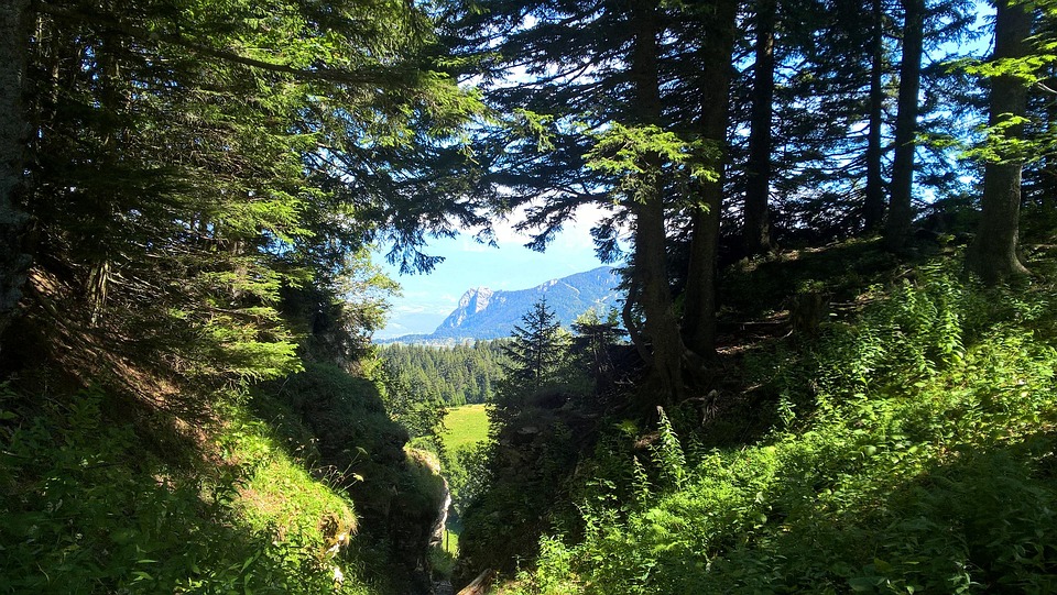 Plateau D'Autrans France Isère - Photo gratuite sur Pixabay
