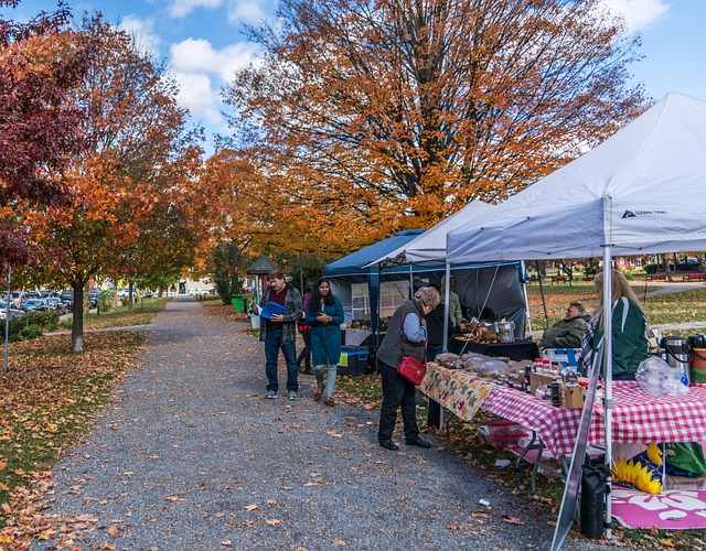 Fall Festival Mid-Autumn - Free photo on Pixabay - Pixabay