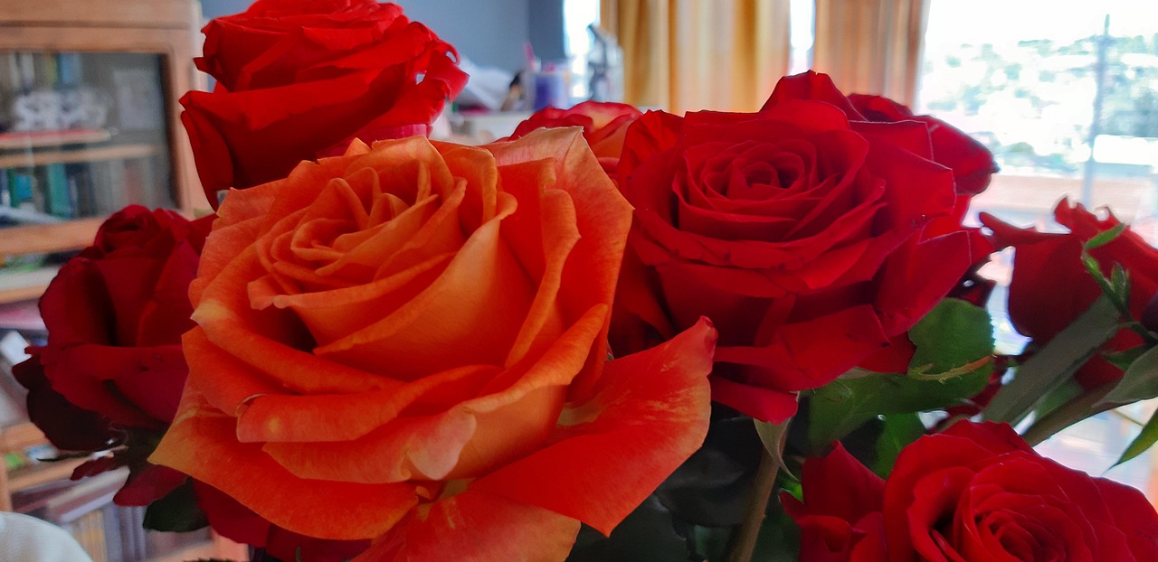 Roses L'Exportation - Photo gratuite sur Pixabay - Pixabay