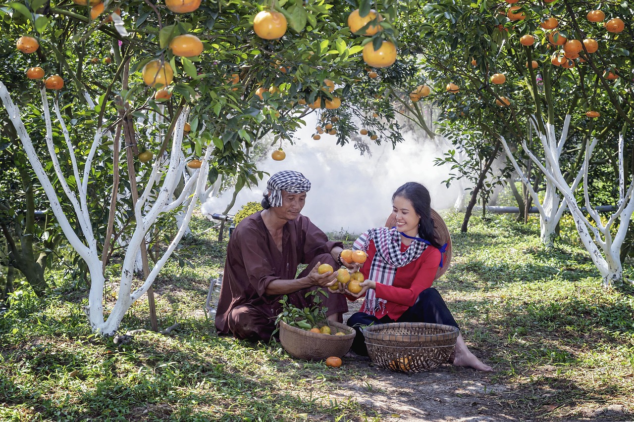 800+ Free Tangerine & Fruit Images - Pixabay