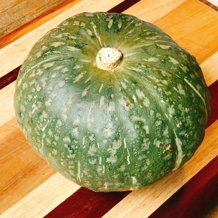 Japanese Pumpkins Pumpkin - Free photo on Pixabay - Pixabay
